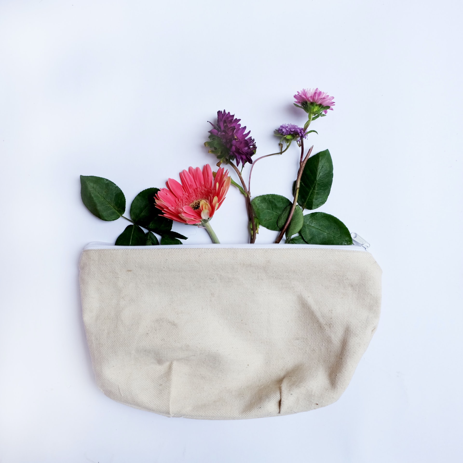 Eco friendly Cosmetic Brands LifestyleArchitects